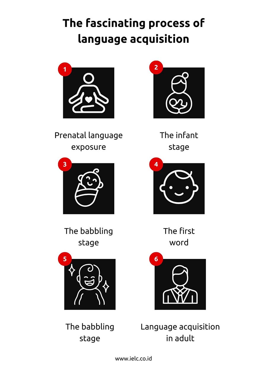The fascinating process of language acquisition: from babble to banter